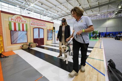 La ciudadanía tinerfeña conoce la labor de los perros guía de la ONCE ...